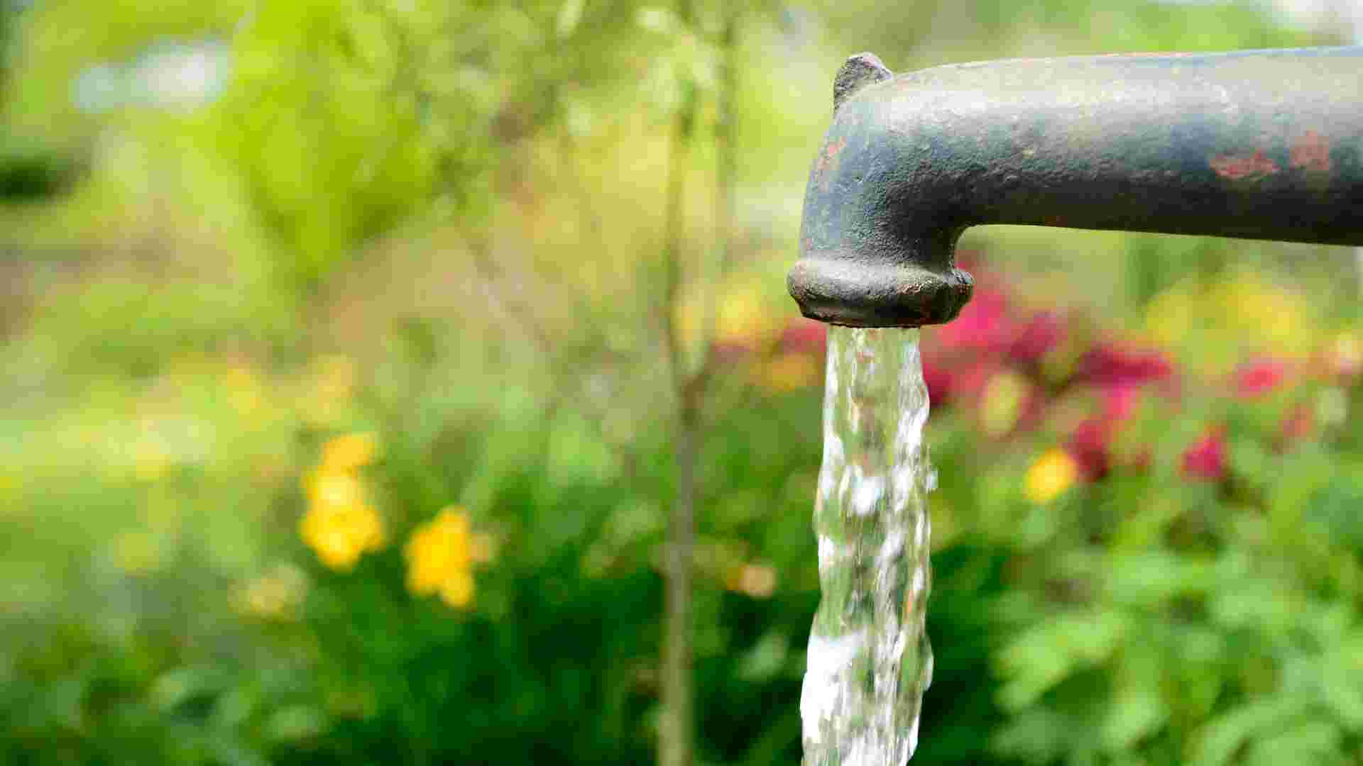 Panduan Pemasangan Pompa Air Tenaga Surya untuk Pertanian