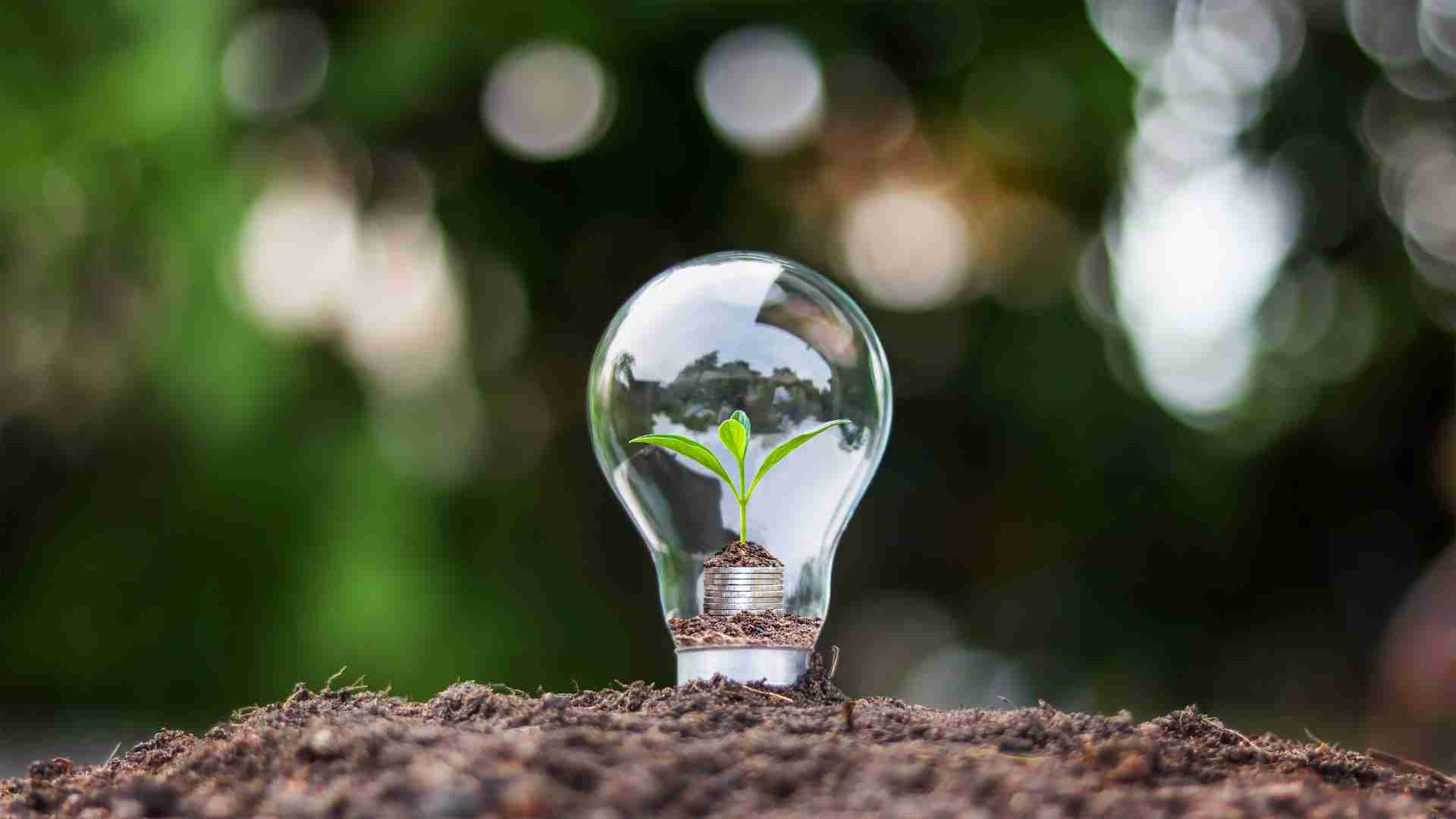 Cara Efektif Membersihkan Lampu Sehen - Atonergi Cara Efektif Membersihkan Lampu Sehen - Atonergi
